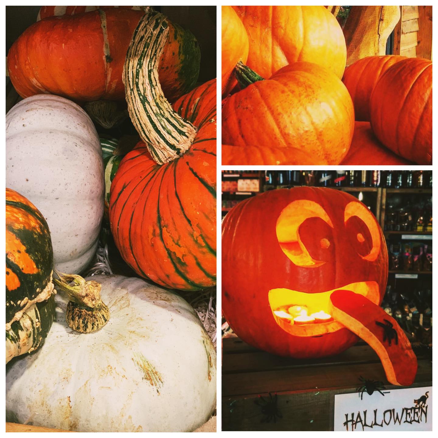 Pumpkins | Court Farm Shop